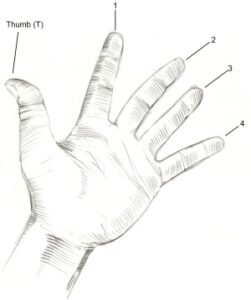 Identifying Fret & Finger Numbers - Adult Guitar Lessons